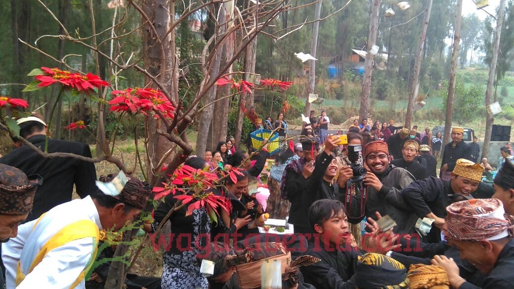 UMAT HINDU SUKU TENGGER GELAR TRADISI 'NYADRAN' - Wagata Berita